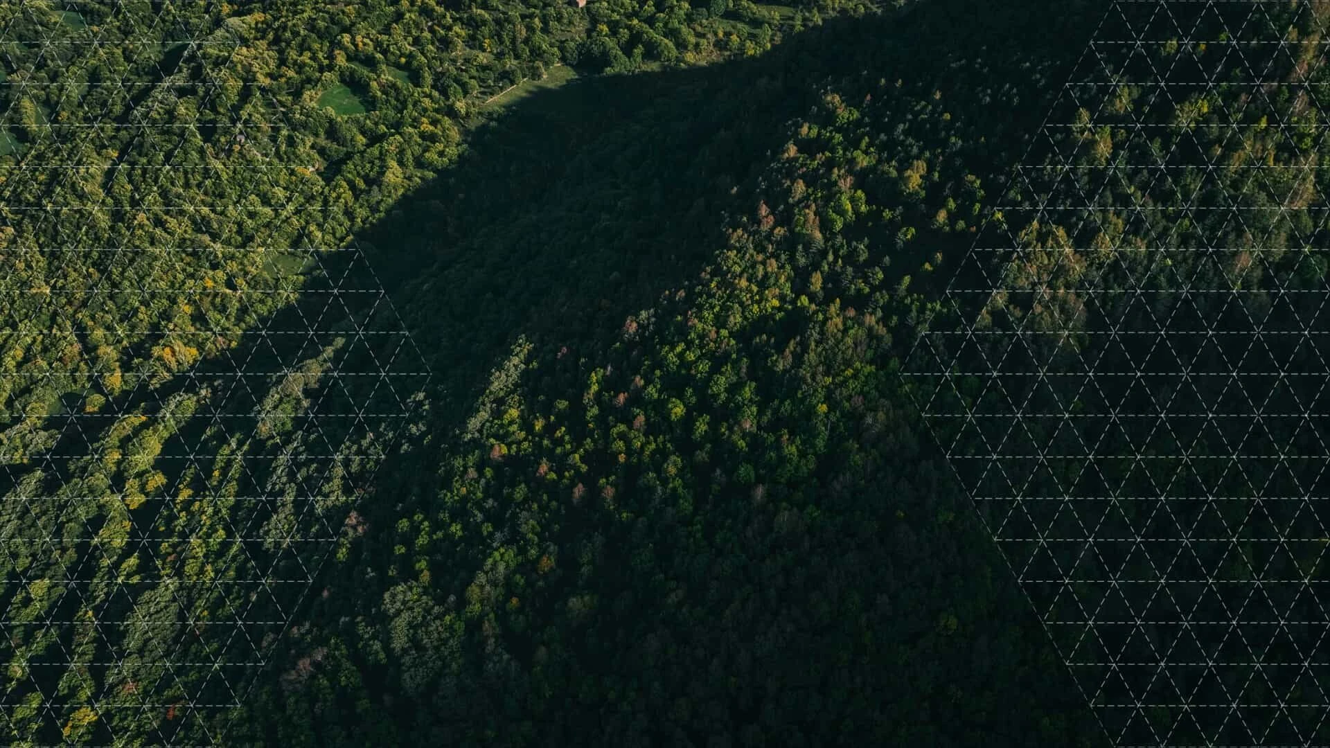 EXSA | The values that power your partnership with us